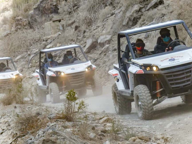 Gran Canaria: Off-Road Buggy Adventure in the Canyons - Key Points