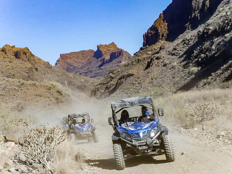 Gran Canaria: Off-Road Buggy Adventure in the Canyons - Who Should Book This Tour?