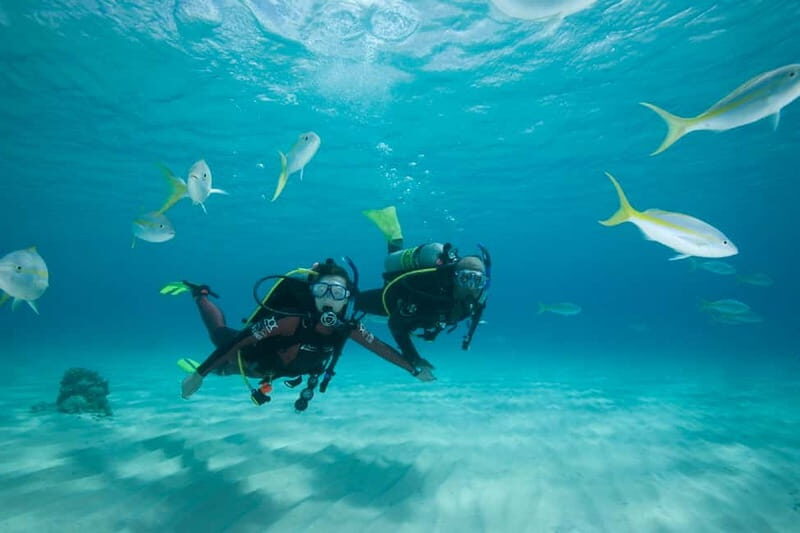 Gran Canaria: PADI Open Water Diver Course - A Closer Look at the Experience