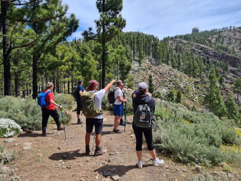 Gran Canaria: "Peaks of Gran Canaria" Hiking Tour - An In-Depth Look at the “Peaks of Gran Canaria” Tour