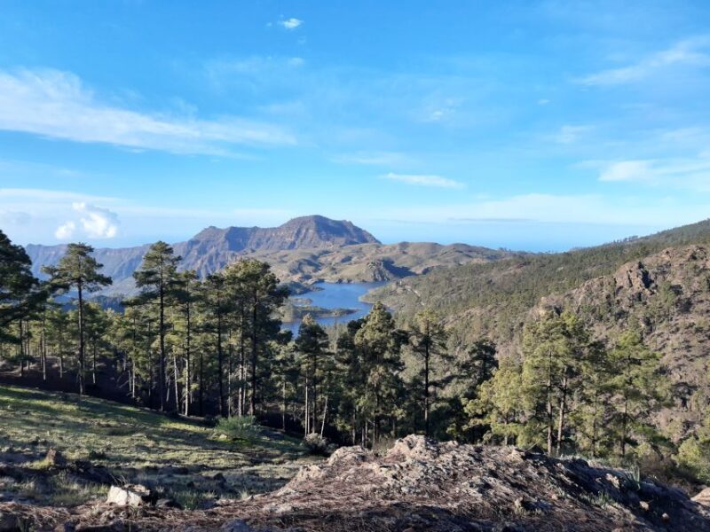 Gran Canaria: "Peaks of Gran Canaria" Hiking Tour - Authentic Reviews from Satisfied Travelers