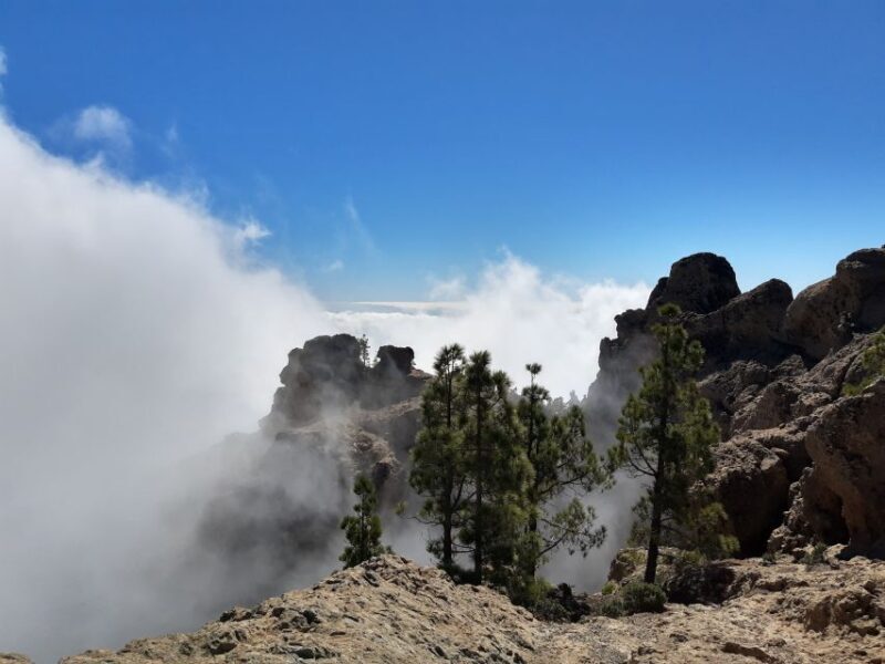 Gran Canaria: "Peaks of Gran Canaria" Hiking Tour - Final Words: Who Should Consider This Tour?