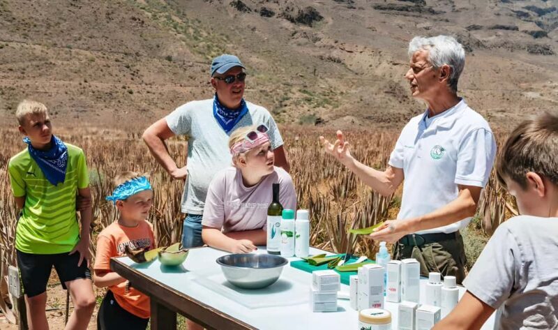Gran Canaria: Premium Safari 4x4 Tour with Local Guide - Key Points