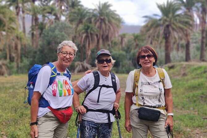 Gran Canaria private walks - Introduction: Why Choose a Private Walk in Gran Canaria?