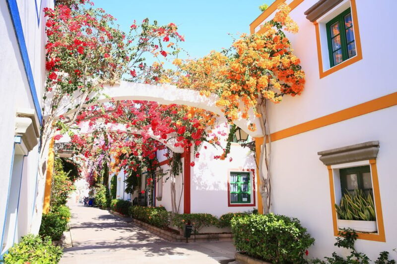 Gran Canaria: Puerto de Mogán Trip with 1-Way Boat Ride - An In-Depth Look at the Tour Experience