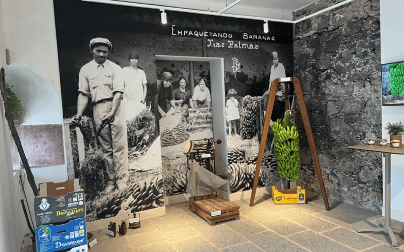 Gran Canaria: Rum, Wines and Banana Tour - FAQs
