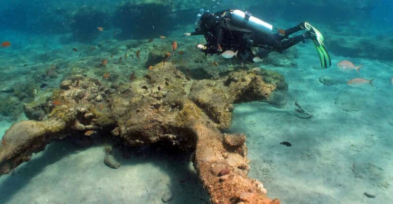 Gran Canaria Scuba Diving: 1-Day 2-Dive Package - The Itinerary and Dive Experience