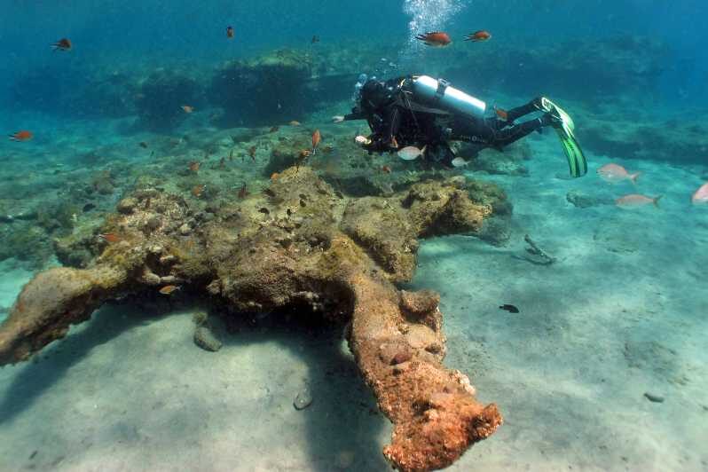 Gran Canaria Scuba Diving: 1-Day 2-Dive Package - The Logistics: Timing, Group Size, and Language