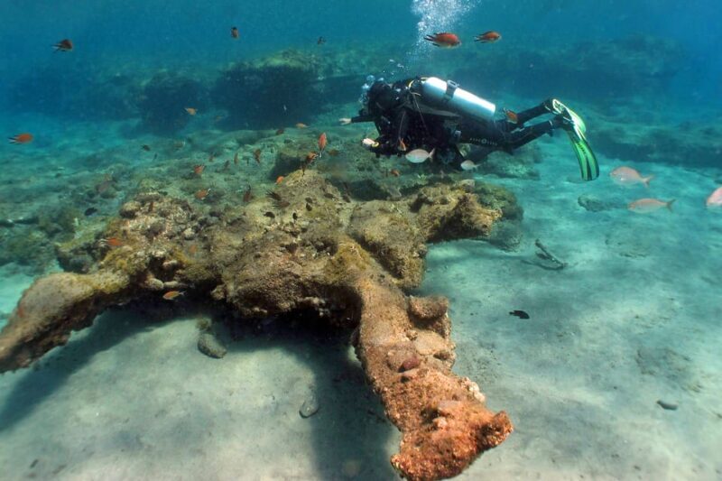 Gran Canaria Scuba Diving: 1-Day 2-Dive Package - FAQ