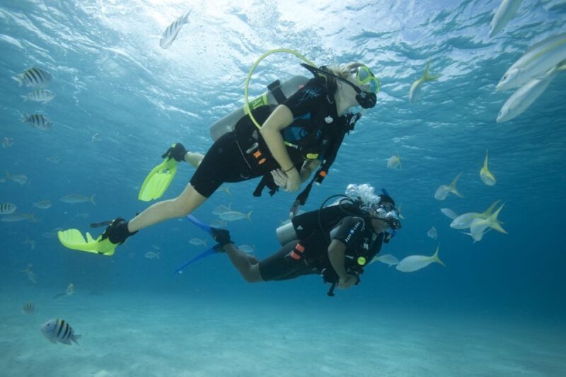 Gran Canaria: Scuba Diving for Beginners - Pricing and Value