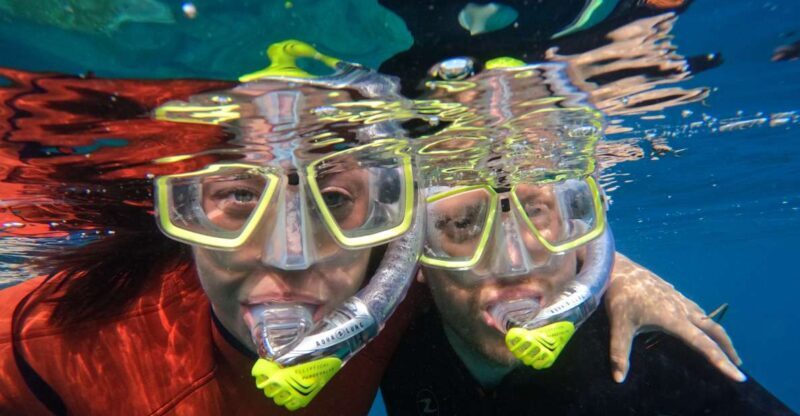 Gran Canaria: Snorkel tour with boat on the west coast - A Closer Look at the Experience