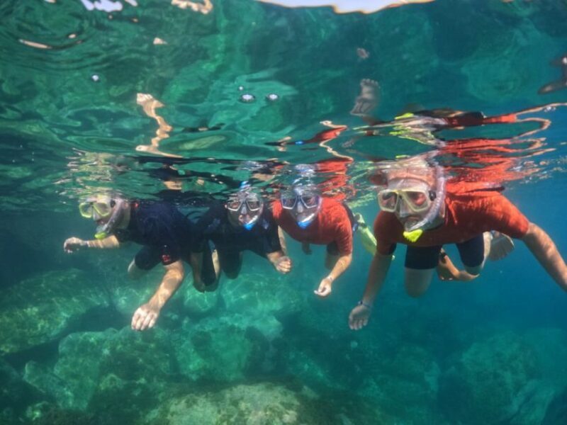 Gran Canaria: Snorkel tour with boat on the west coast - What’s Included and What’s Not