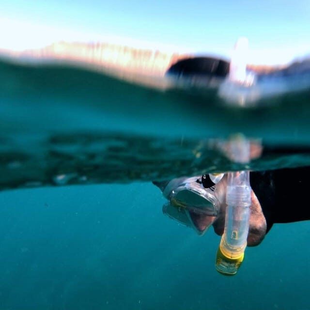 Gran Canaria: Snorkeling Trip - What to Expect on Your Snorkeling Trip