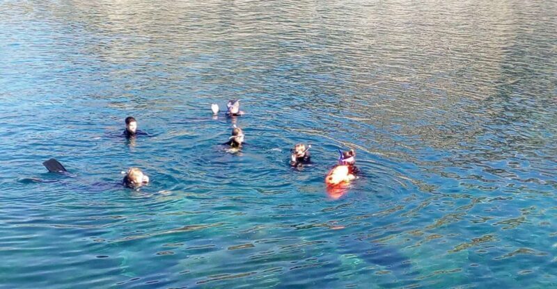 Gran Canaria: Snorkeling Trip - The Value of the Tour
