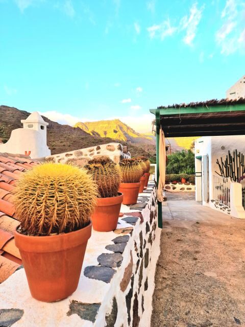 Gran Canaria: Spanish Tapas and Wine Tasting Tour in Mogan - Frequently Asked Questions