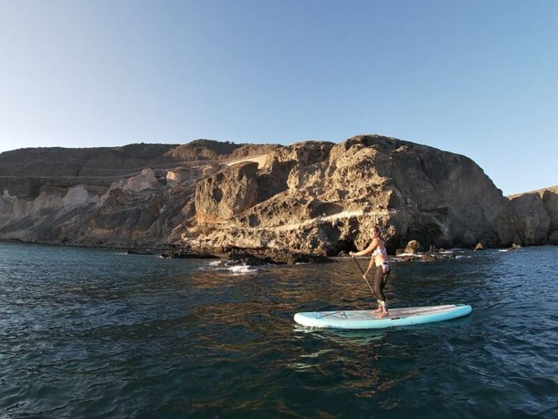 Gran Canaria : Stand Up Paddle (SUP) Tour - Key Points