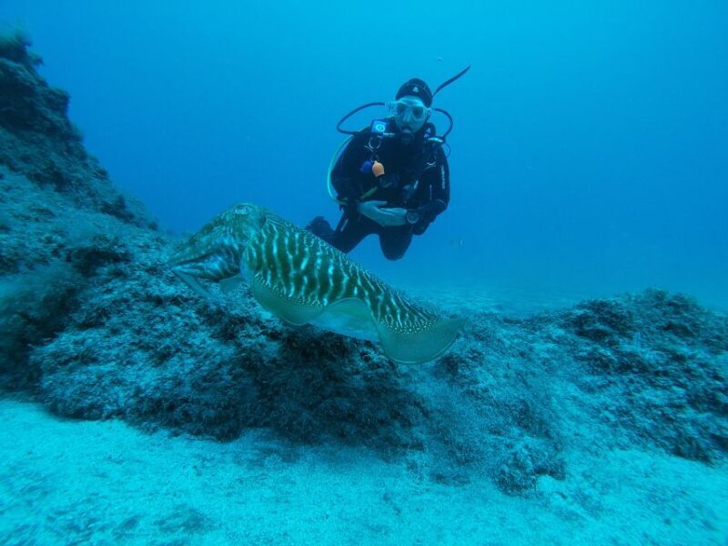 Gran Canaria: Try Scuba Diving for Beginners - Who Will Benefit from This Experience?