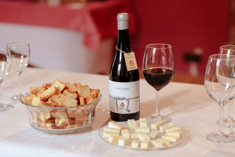 Gran Canaria: Winery Tour, Wine Museum, and Tasting - An In-Depth Look at the Winery Tour