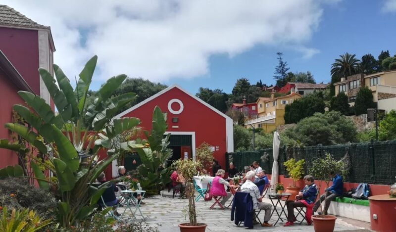 Gran Canaria: Winery Tour, Wine Museum, and Tasting - Final Thoughts