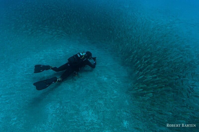 Gran Canaria:Live an Adventure and Learn to Dive with Expert - Reviews & Real Feedback