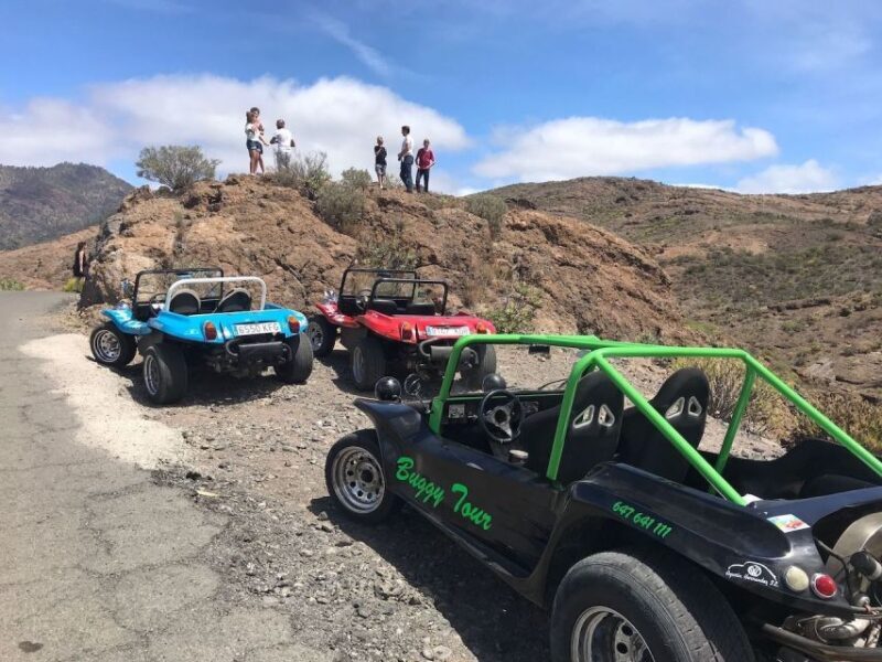 Gran Canary: 70's VW Buggy Tour - Why Choose This Buggy Tour?