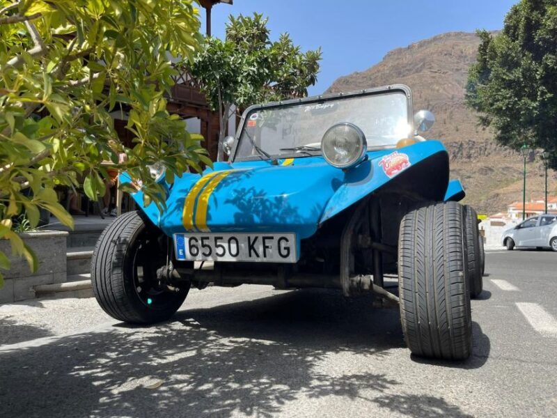 Gran Canary: 70's VW Buggy Tour - Vehicle and Driver Experience