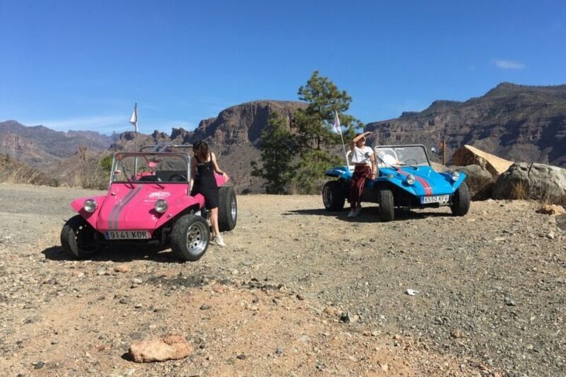 Gran Canary: 70's VW Buggy Tour - Price, Value, and Booking Flexibility