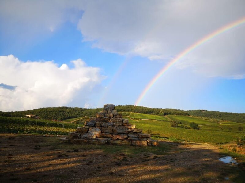 Gran Cru Wines Tasting - Mocenni Estate - Who Will Love This Tour?