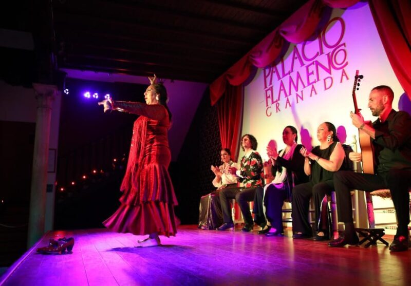 Granada: 1-Hour Traditional Flamenco Show at Palacio - The Performers and Artistic Quality