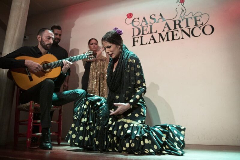 Granada: 1-Hour Traditional Flamenco Show - Who Will Love This Flamenco Show?