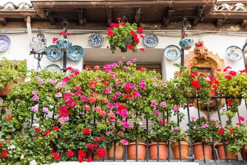 Granada: 2hour Tour of The Albaicín & Sacromonte Premium - Key Points