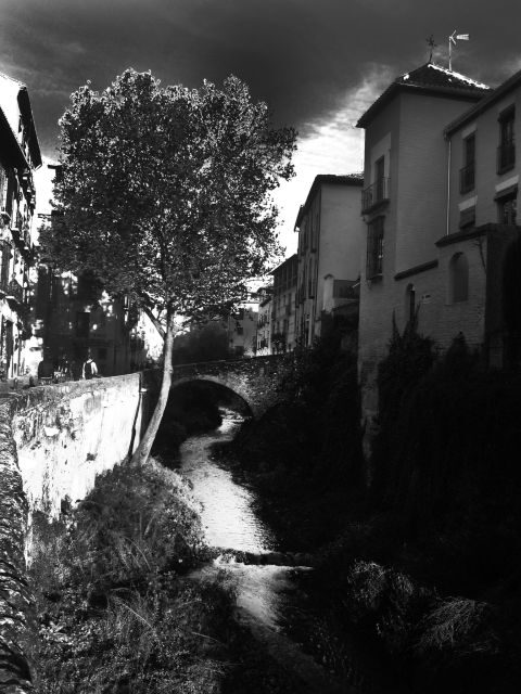 Granada Albaicín: 2.5-Hour Tapas & Drinks Walking Tour - Reviews: Authentic Perspectives