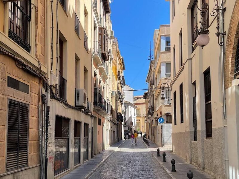 Granada: Albaicin and Sacromonte Guided Walking Tour - Key Points