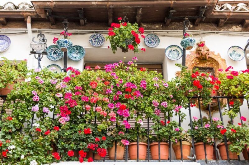 Granada: Albaicín and Sacromonte Walking Tour - Who Will Love This Tour?