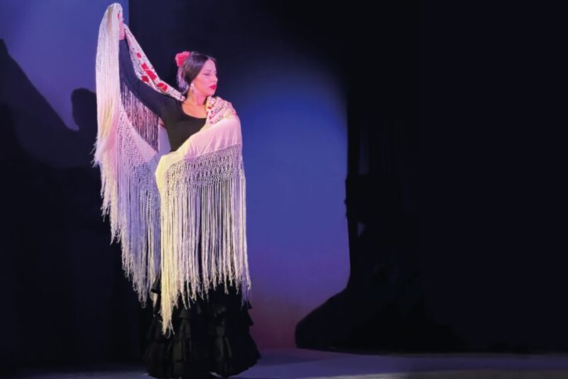 Granada: Albaicín & Sacromonte Walking Tour & Flamenco Show - Final Thoughts: Is It Worth It?