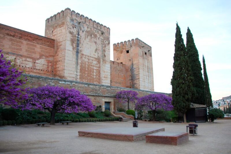 Granada: Alhambra and Charles V Palace Tour - An In-Depth Look at the Tour Experience