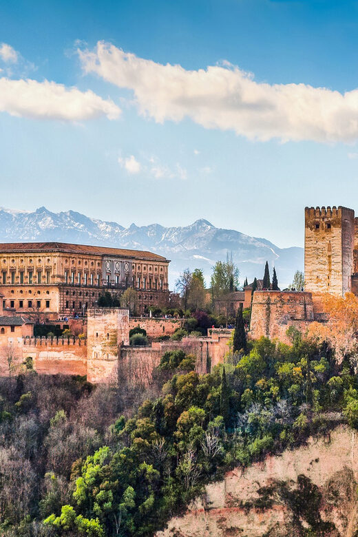 Granada: Alhambra and Nasrid Palaces Private Guide Tour - Key Points