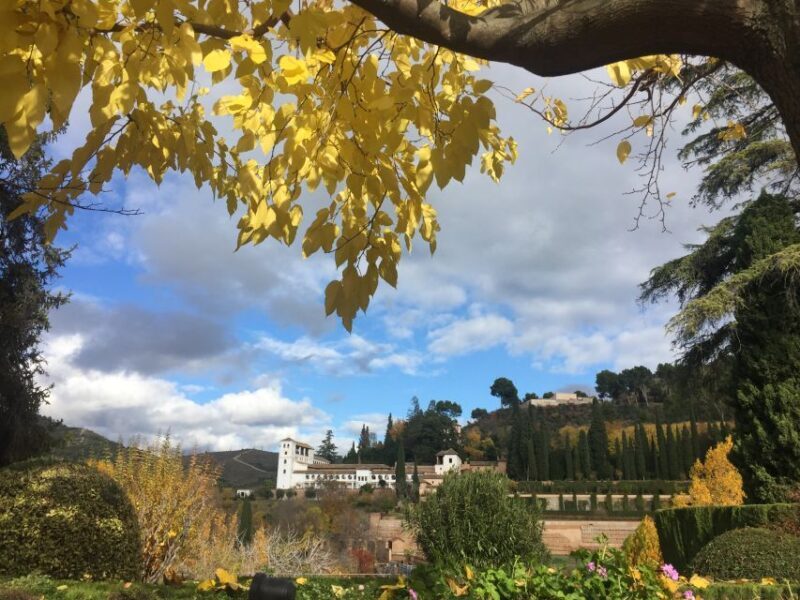 Granada: Alhambra & Generalife Fast-Track Guided Tour - An In-Depth Look at the Tour Experience