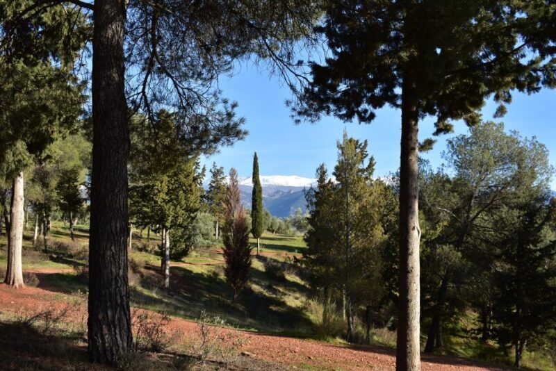 Granada: Alhambra Natural Park Hiking Tour - What Travelers Say About the Experience