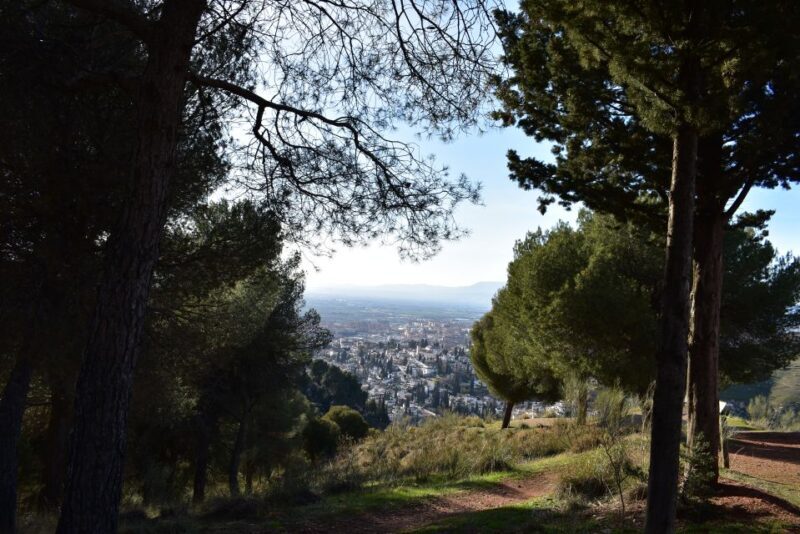Granada: Alhambra Natural Park Hiking Tour - Who Should Consider This Tour?