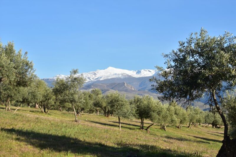 Granada: Alhambra Natural Park Hiking Tour - Final Thoughts