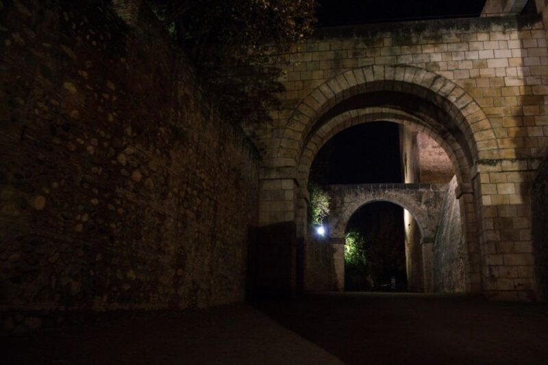 Granada: Alhambra Night Visit Entry Ticket - Highlights of the Experience