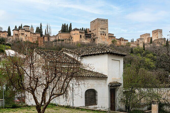 Granada Discoveries Private Tour - Practical Details and Tips