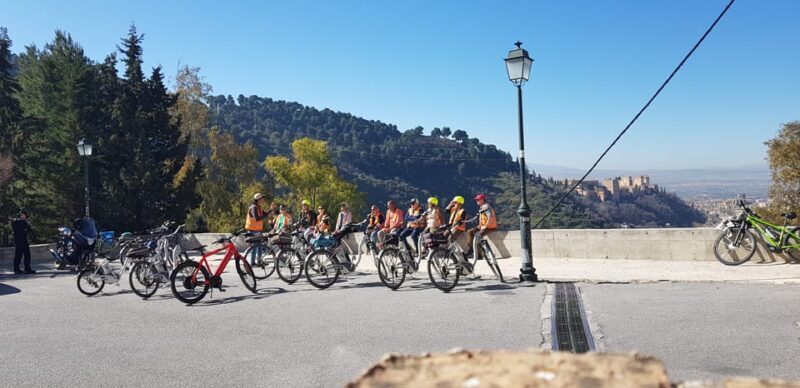 Granada: E-Bike Tour and Fast-Track Alhambra Ticket - Who Should Consider This Tour?
