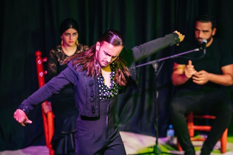 Granada: Flamenco Show in La Alboreá - Final Thoughts