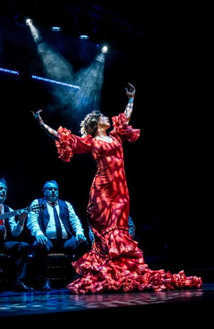 Granada: Flamenco Show "Sensaciones" at the Flamenco Theater Granada - Practical Tips for Visitors