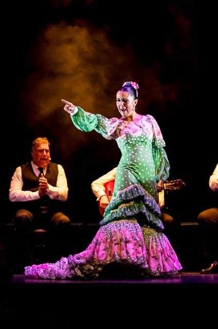 Granada: Flamenco Show "Sensaciones" at the Flamenco Theater Granada - Final Thoughts