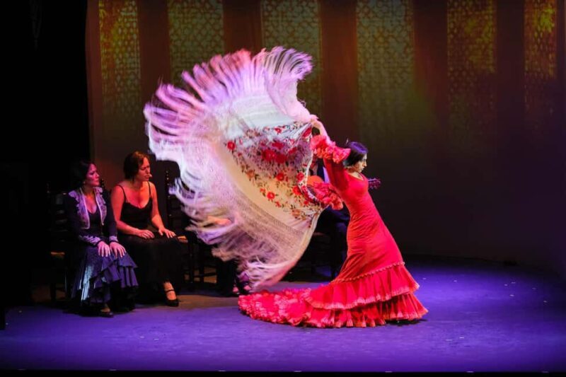 Granada: Flamenco Show "Sensaciones" at the Teatro Flamenco Granada - An Authentic Flamenco Experience in Granada