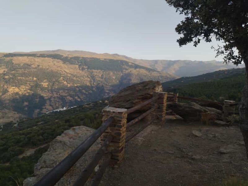 Granada: Full-Day South Tour with Guide - An Ideal Introduction to Andalusias Lesser-Known Side