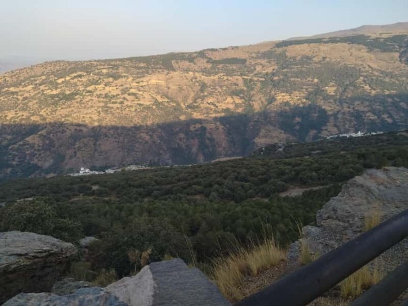Granada: Full-Day South Tour with Guide - Benefits of the Guided Experience